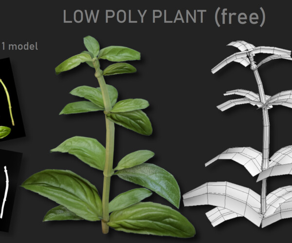 ArtStation - Low poly plant (basil) | Resources
