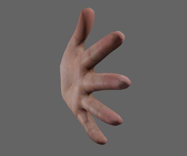 ArtStation - Rigged Hand - With Real texture - Mao Low-poly 3D model ...