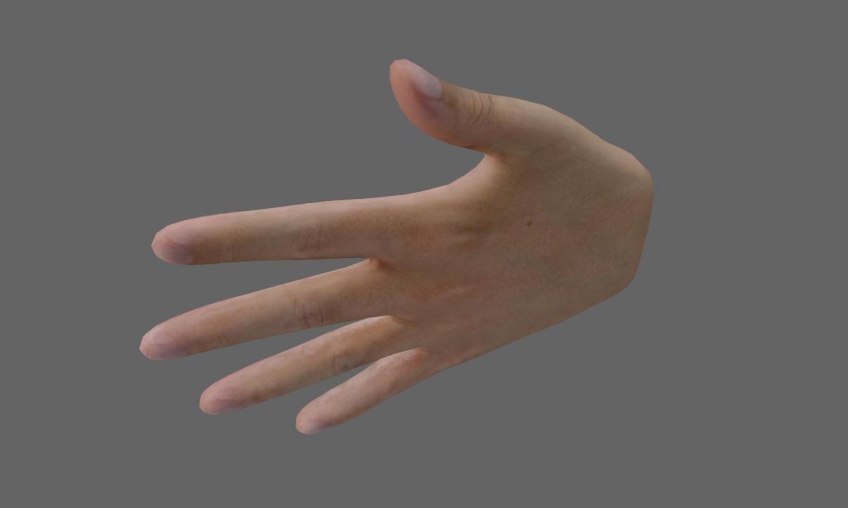 ArtStation - Rigged Hand - With Real texture - Mao Low-poly 3D model ...
