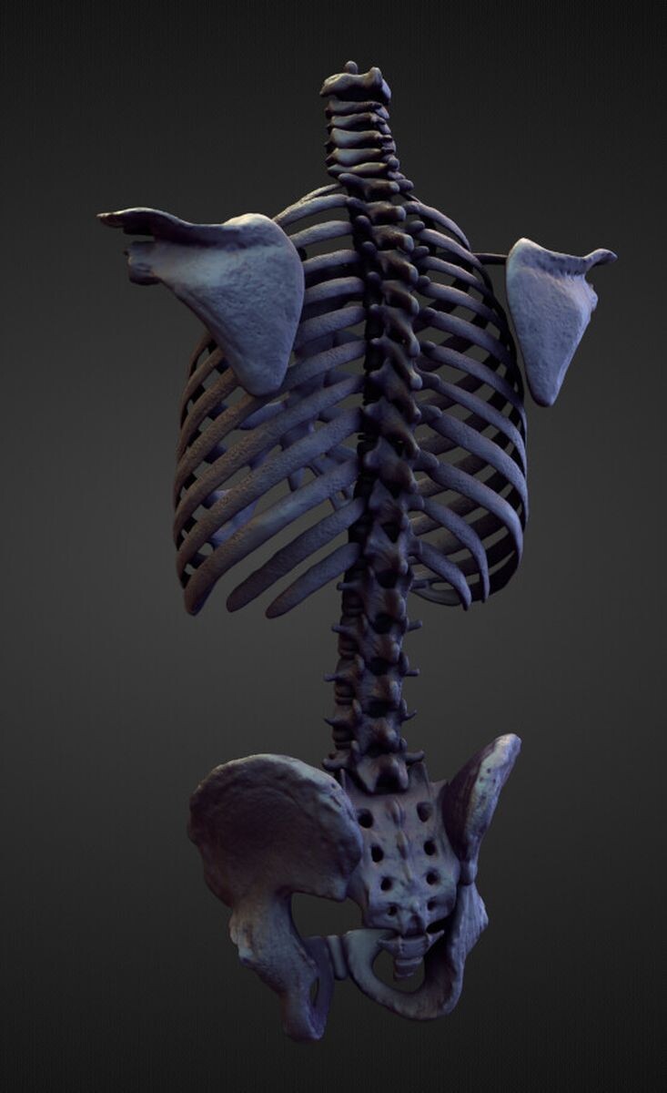 ArtStation - TORSO20 high poly sculpt | Resources