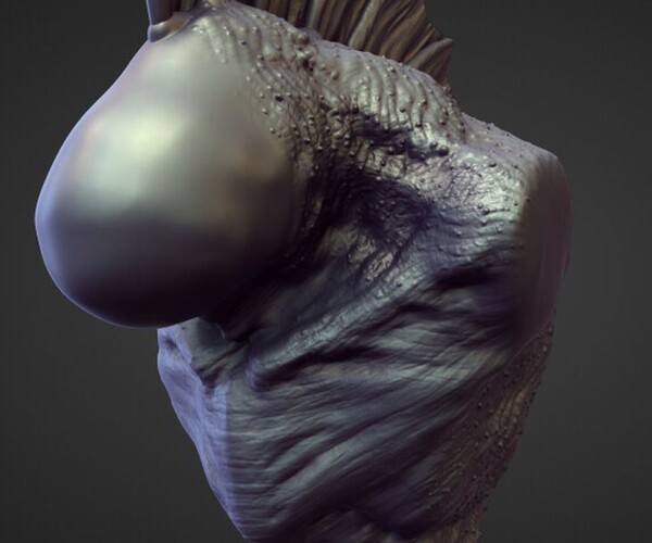 ArtStation - TORSO35 high poly sculpt | Resources