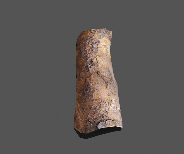 ArtStation - Wood Bark Low Poly | Game Assets