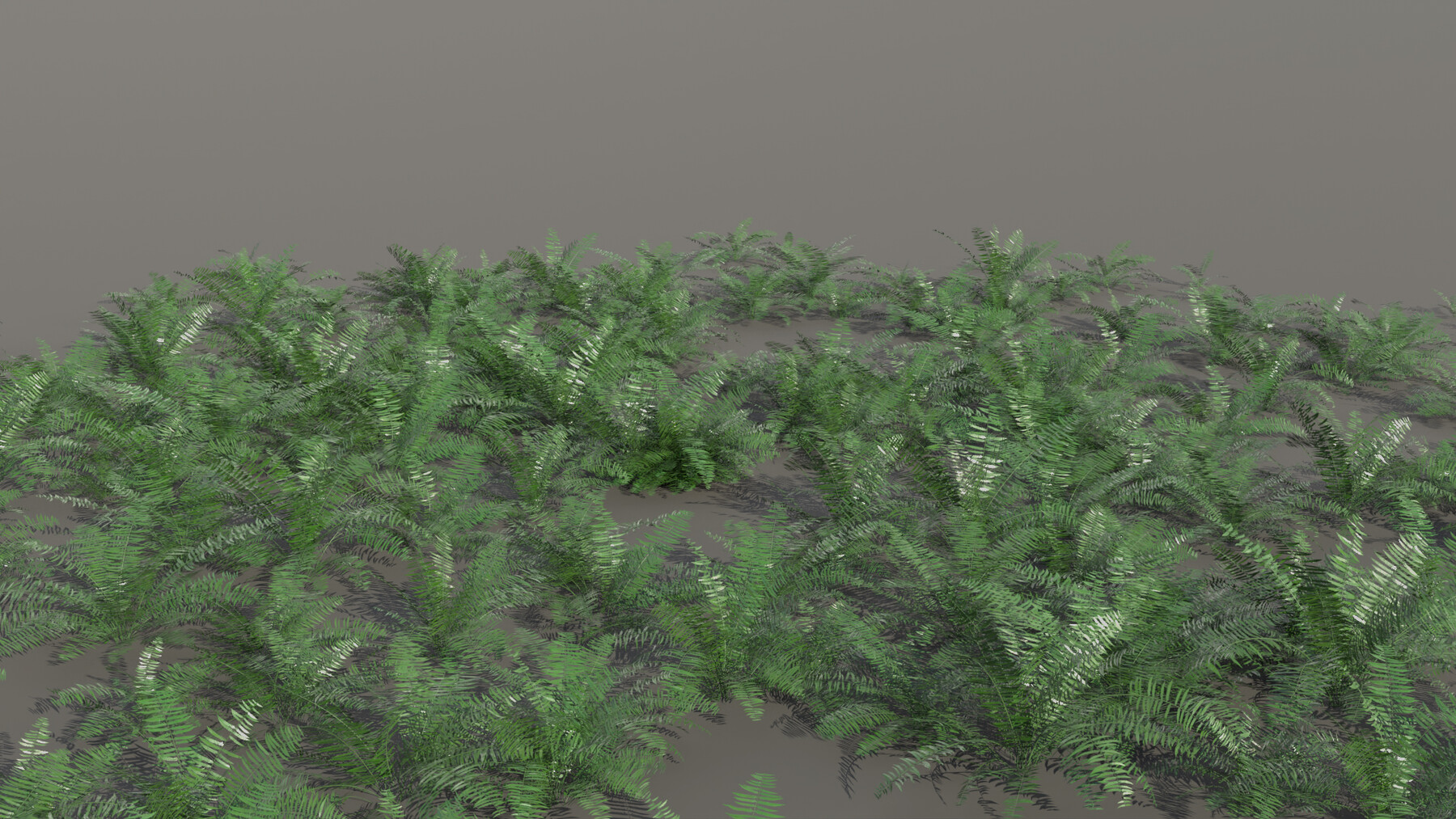 ArtStation - vegetation: Fern | Resources