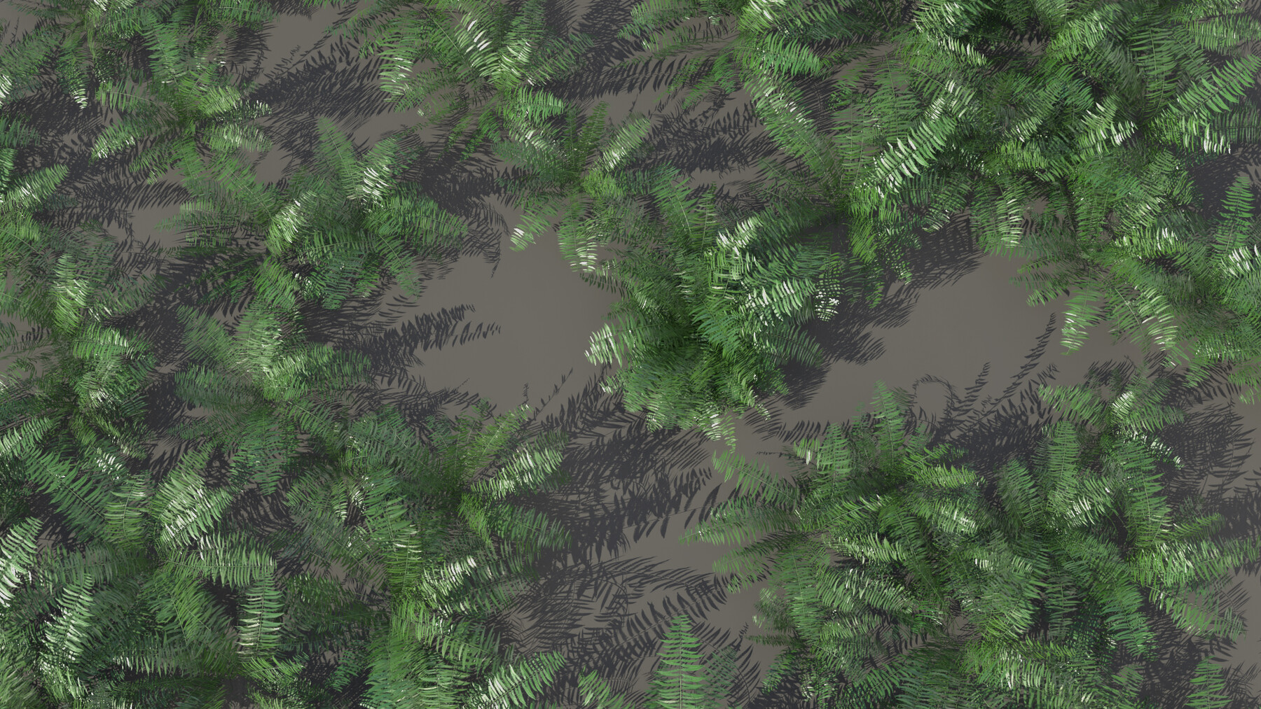 ArtStation - vegetation: Fern | Resources