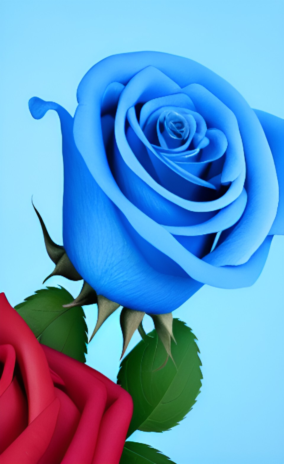 ArtStation - A real rose-1600-jpg pack wombo art | Artworks