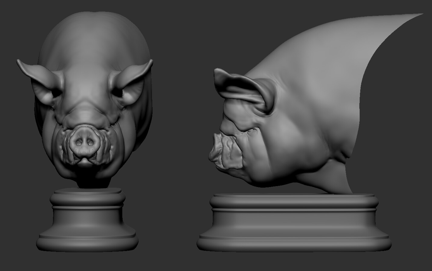 ArtStation - Middle White Pig Head | Resources