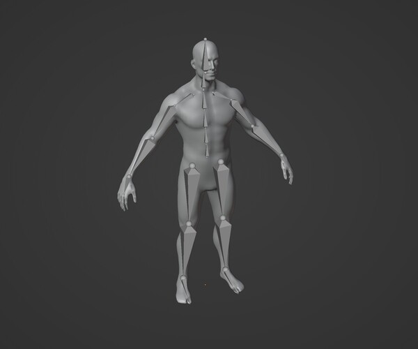 ArtStation - Human Body Base Mesh 28 Animations 10 3D Models Pack ...