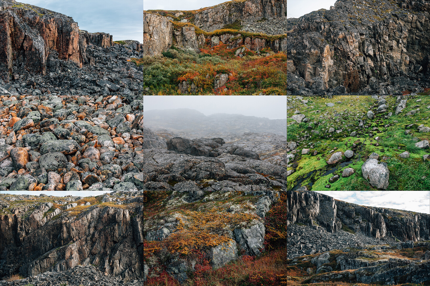 ArtStation - 1300+ Tundra Nature Reference Pictures | Resources