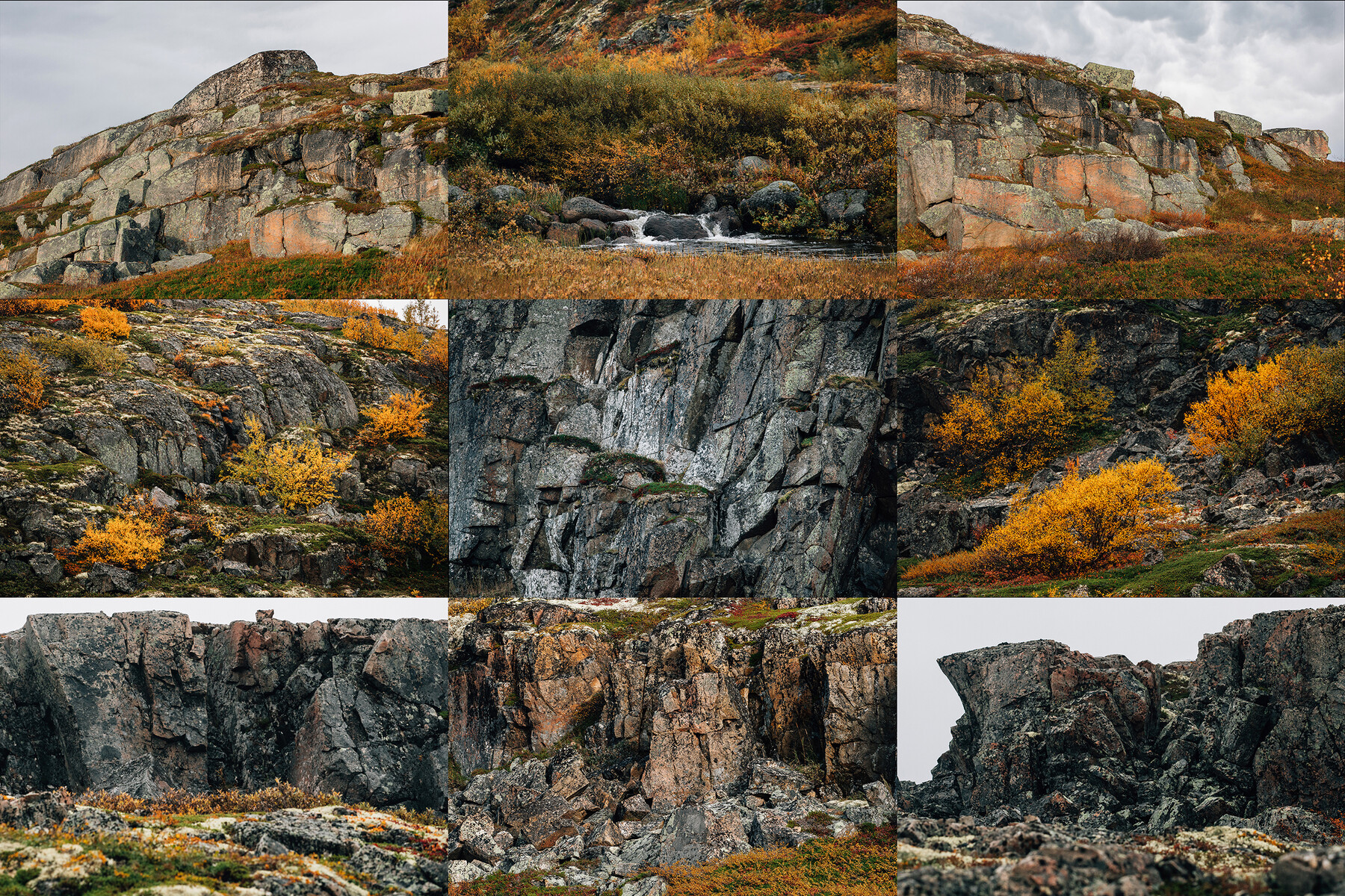 ArtStation - 1300+ Tundra Nature Reference Pictures | Resources