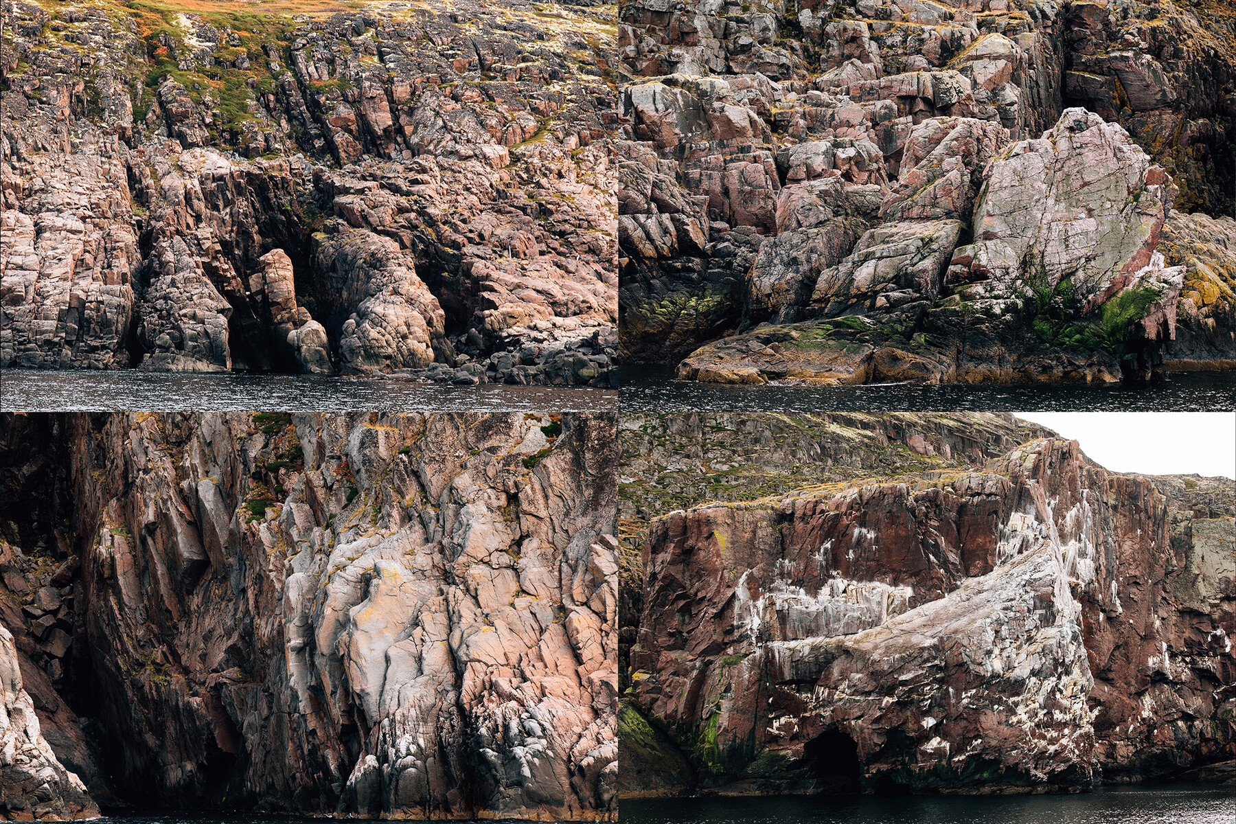 ArtStation - 1300+ Tundra Nature Reference Pictures | Resources