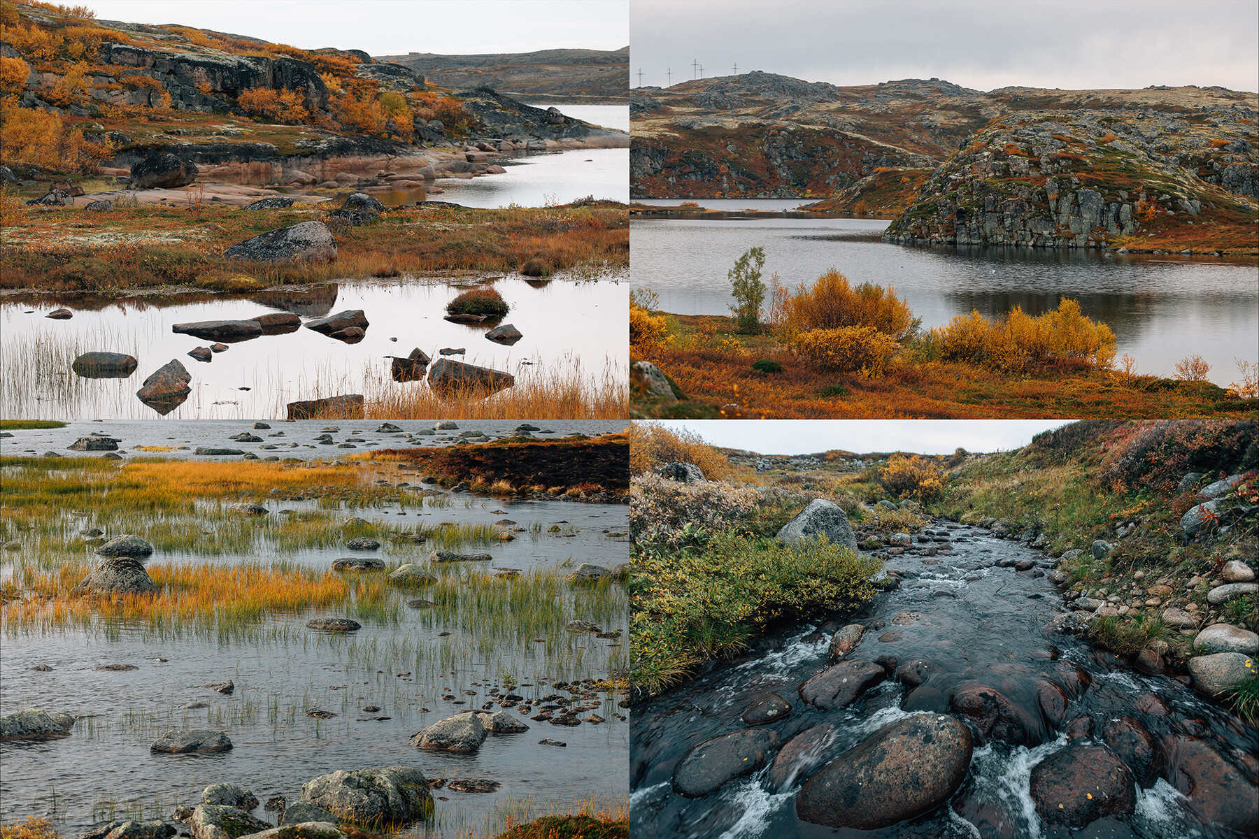 ArtStation - 1300+ Tundra Nature Reference Pictures | Resources