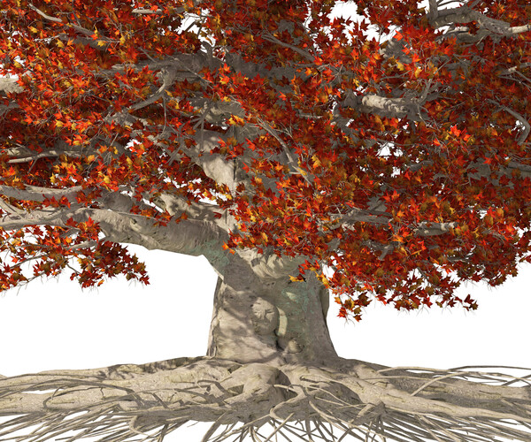 ArtStation - House of Dragons Winterfell Tree | Resources