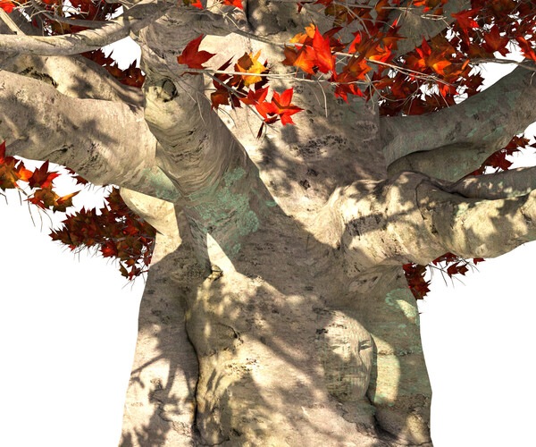 ArtStation - House of Dragons Winterfell Tree | Resources