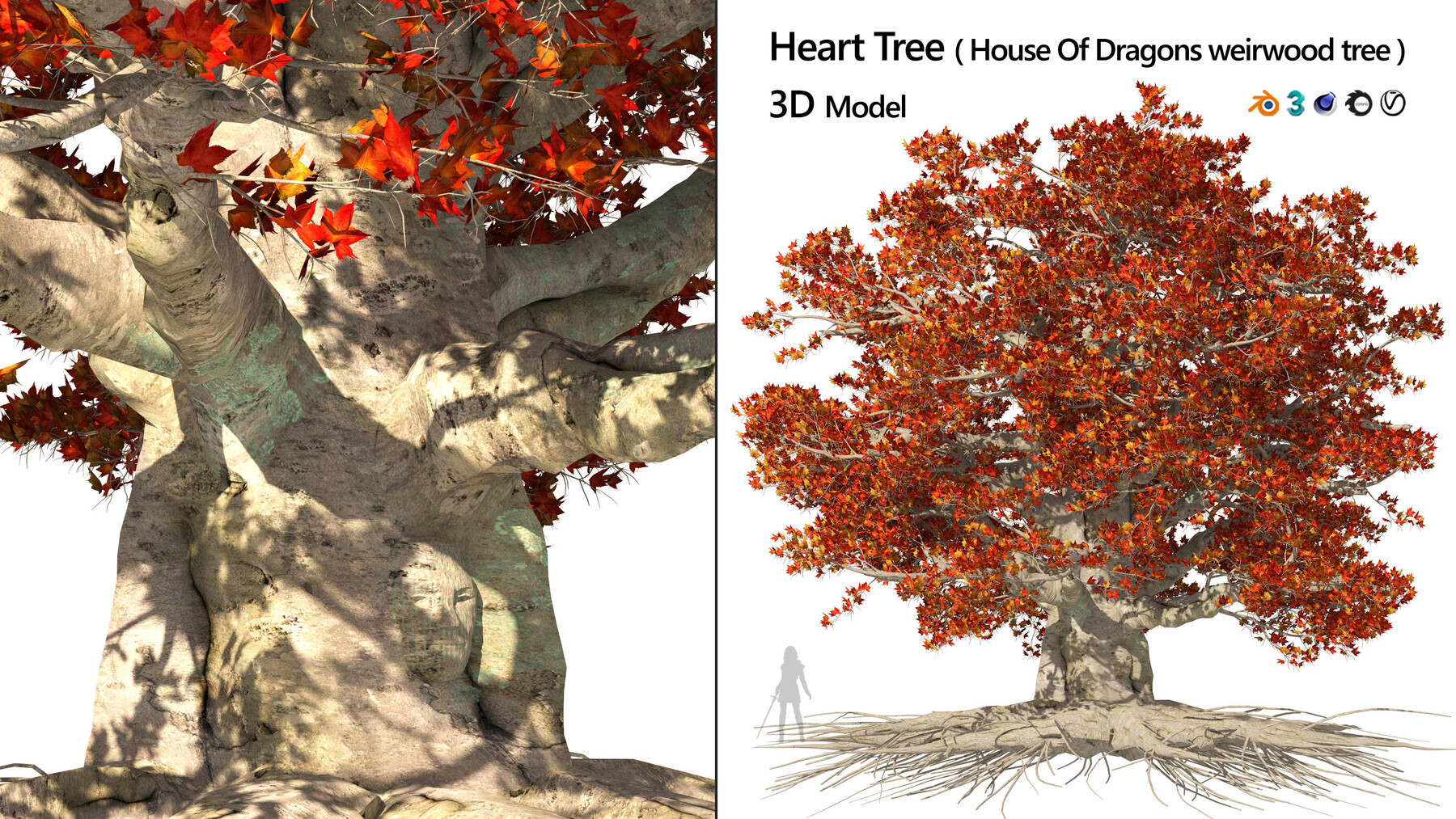 ArtStation - House of Dragons Winterfell Tree | Resources