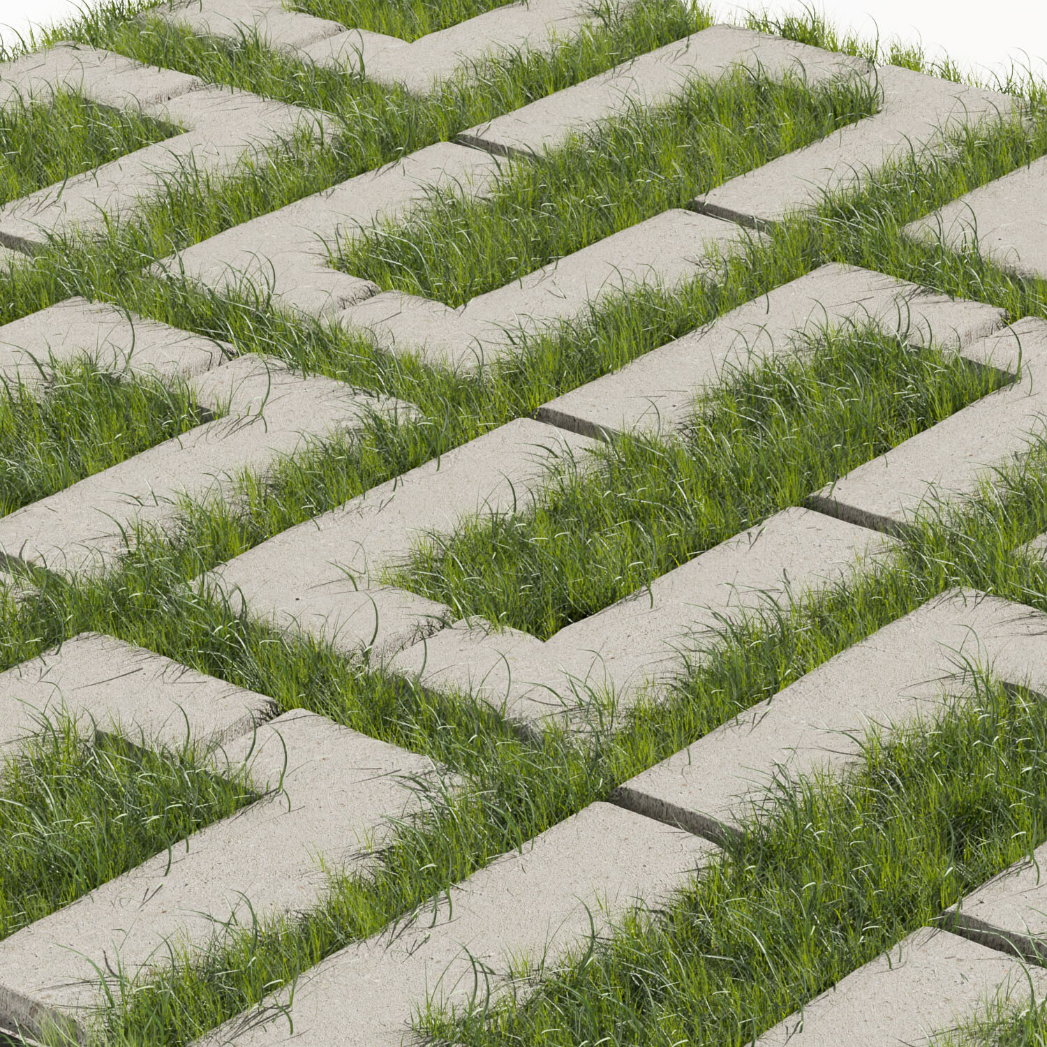 ArtStation - Collection plant vol 397 - grass - concrete - tileable ...