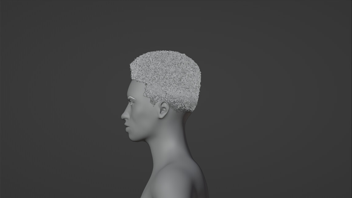 ArtStation - Flat Top Afro Hair | Game Assets