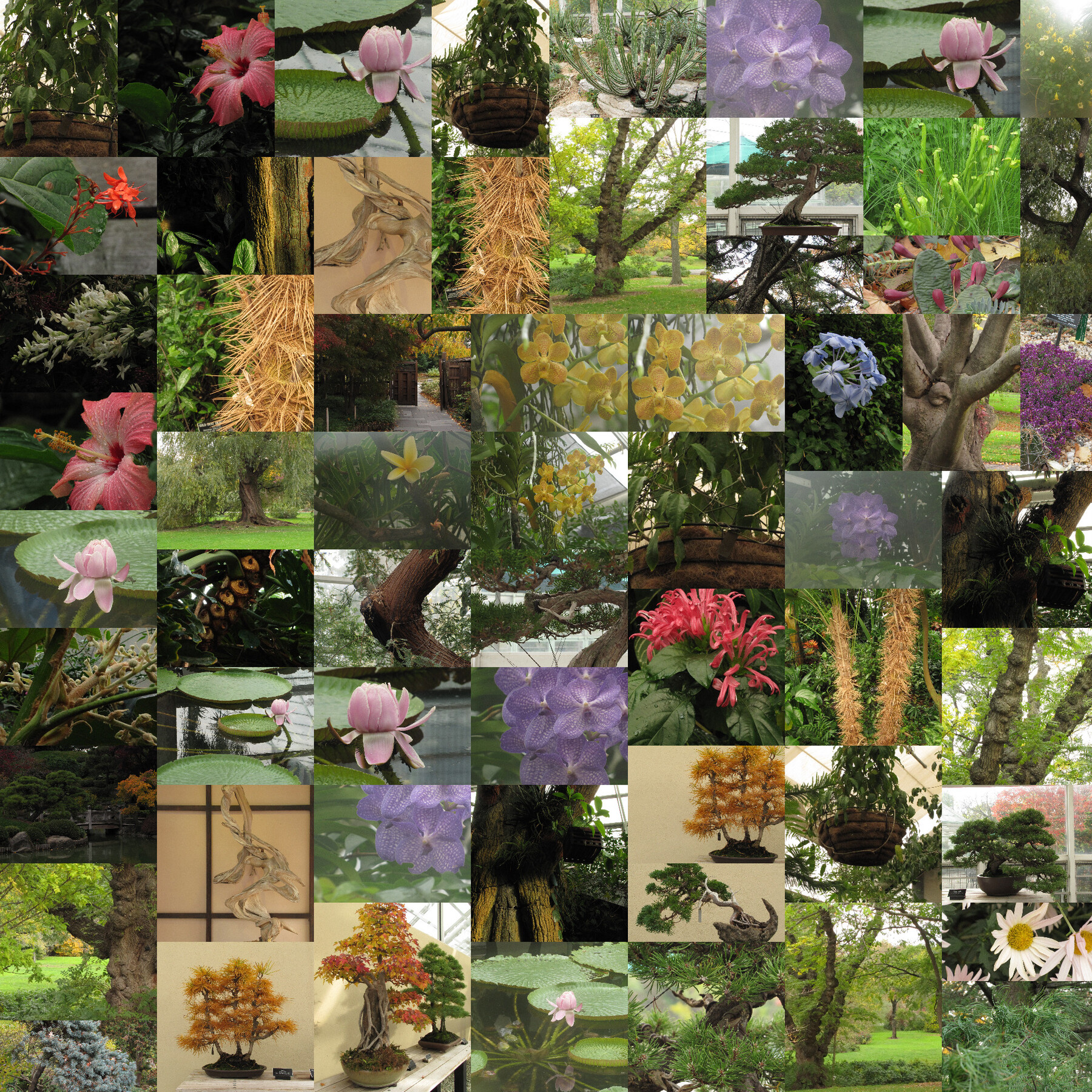 ArtStation - Brooklyn Botanic Garden Vol. 1 (Reference Photos) | Resources