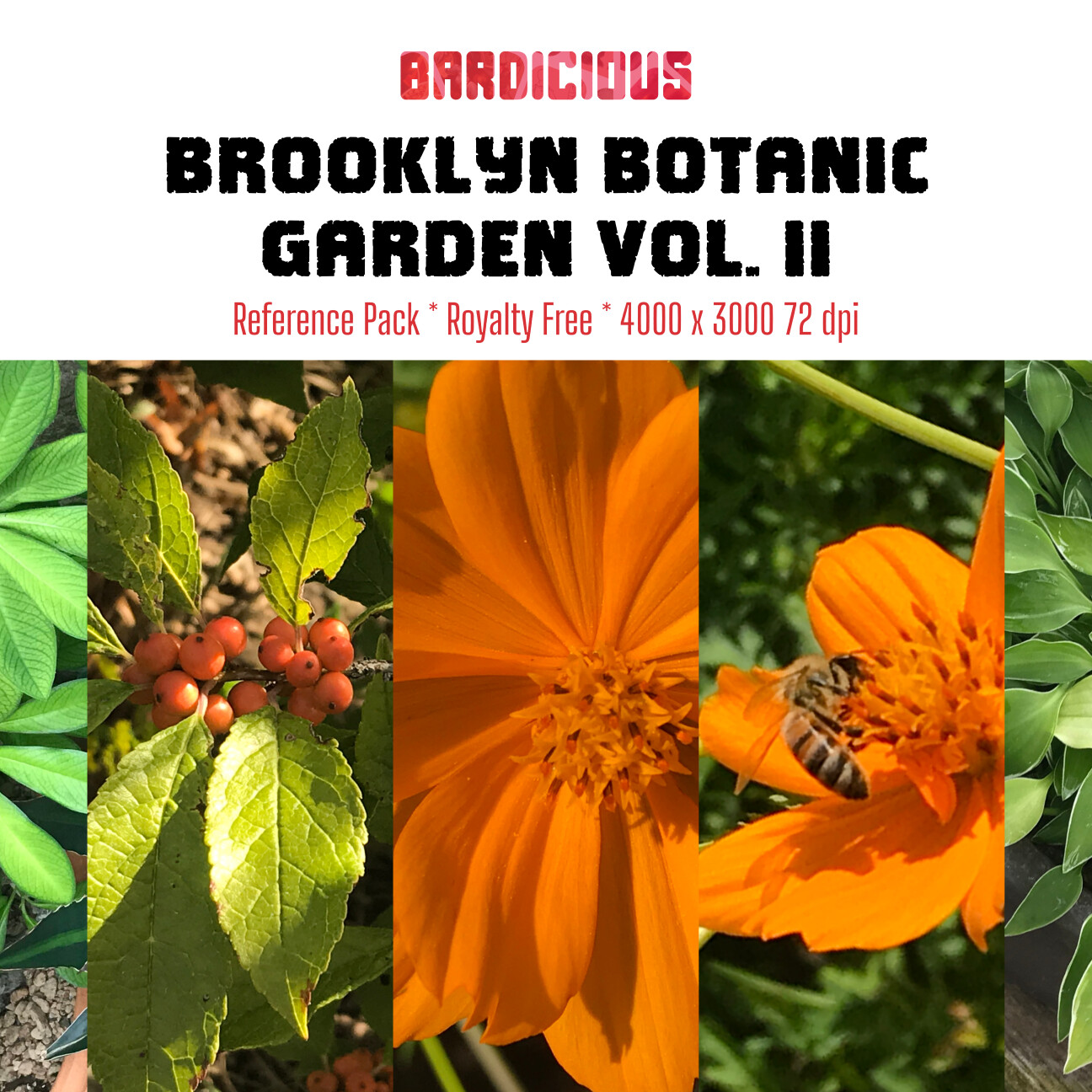 ArtStation - Brooklyn Botanic Garden Vol. II (Reference Photos) | Resources