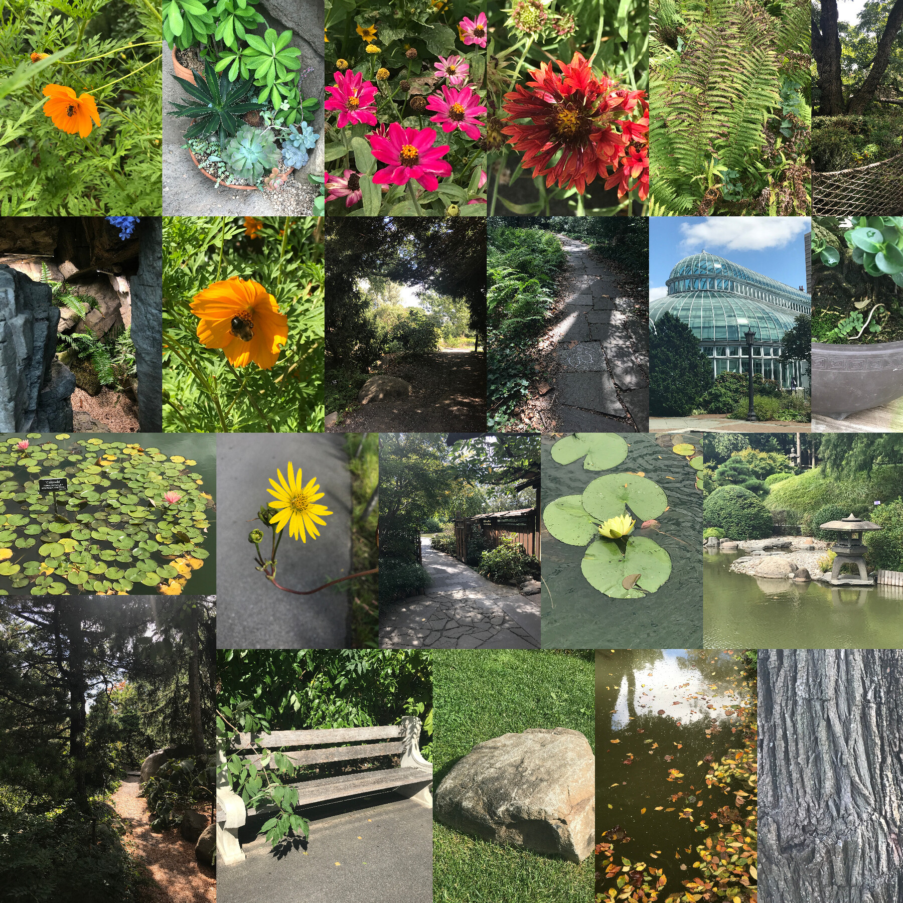 ArtStation - Brooklyn Botanic Garden Vol. II (Reference Photos) | Resources