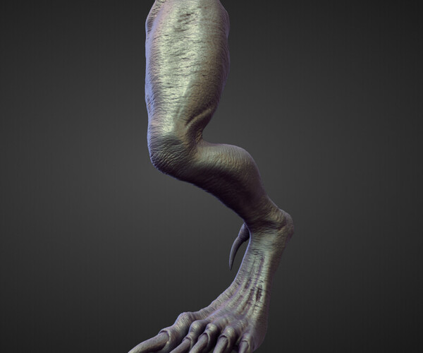 ArtStation - LEG4 high poly sculpt | Resources