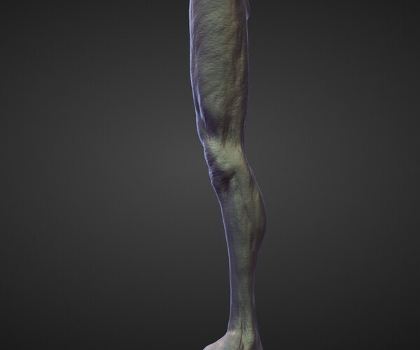 ArtStation - LEG21 high poly sculpt | Resources