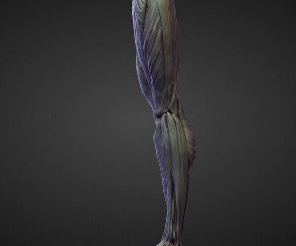 ArtStation - LEG23 high poly sculpt | Resources