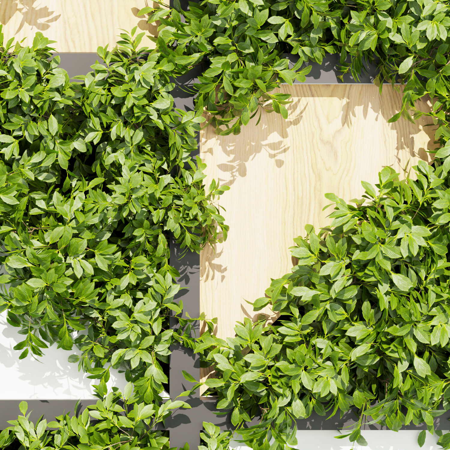 ArtStation - Collection plant vol 405 - fitowall - ertical - leaf ...