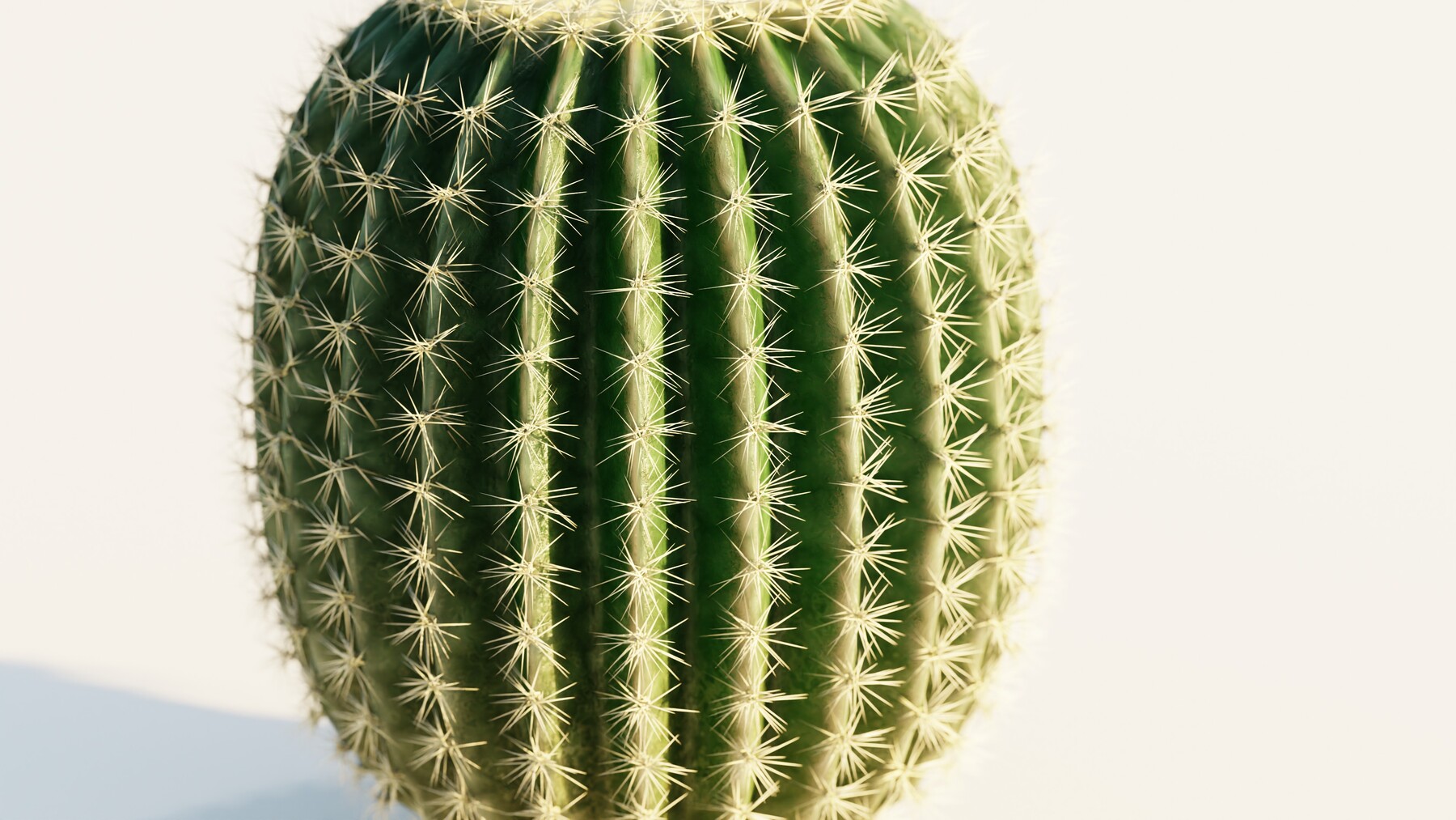 ArtStation - Procedural Cactus Generator Photo Realistic | Resources
