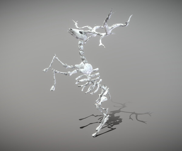 ArtStation - Elk Skeleton | Game Assets