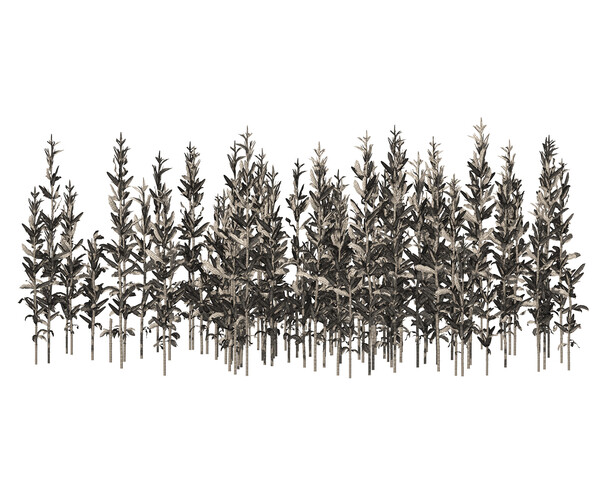 ArtStation - Corn cluster | Resources