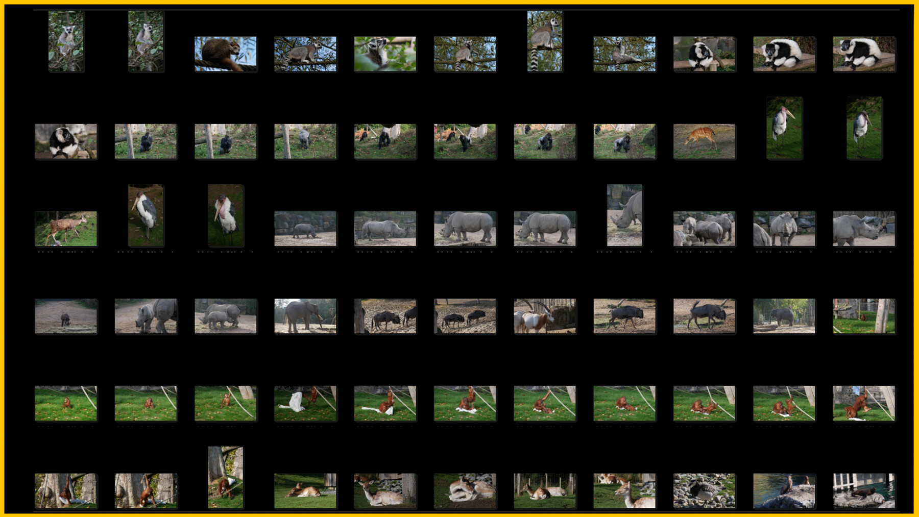 ArtStation - Multitude of animals : 385 photos | Resources