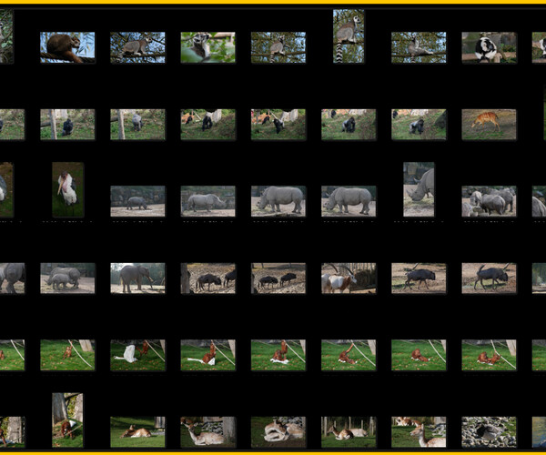 ArtStation - Multitude of animals : 385 photos | Resources