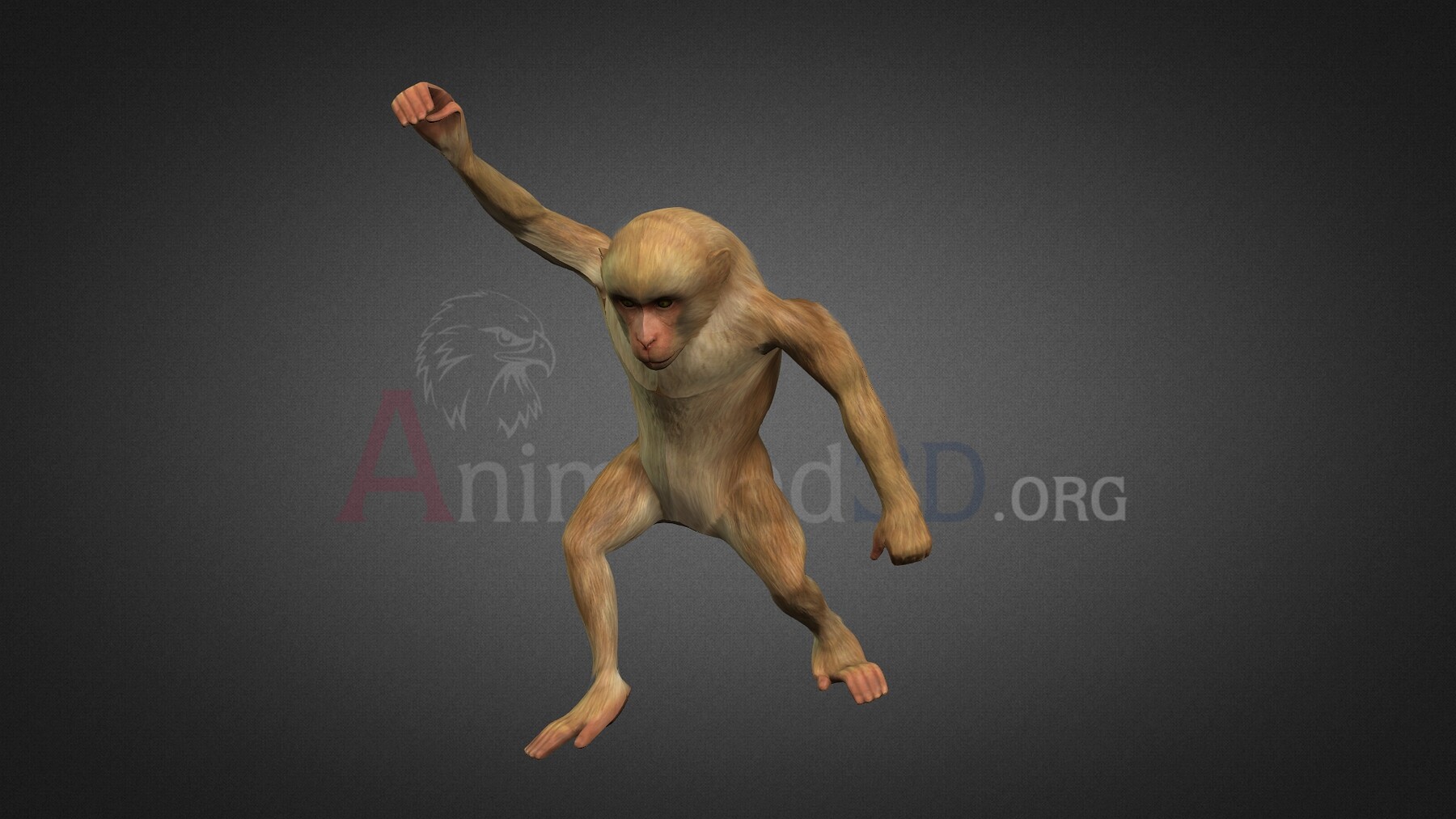 ArtStation - Monkey-1-Attack4 | Game Assets