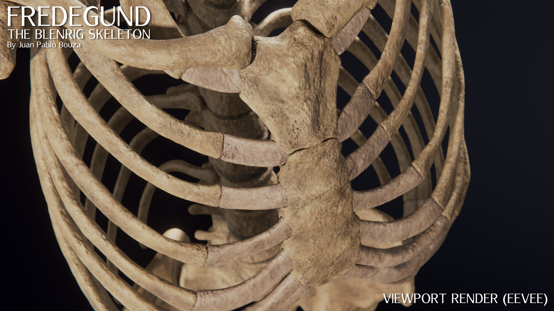 ArtStation - Fredegund - The BlenRig Skeleton | Resources