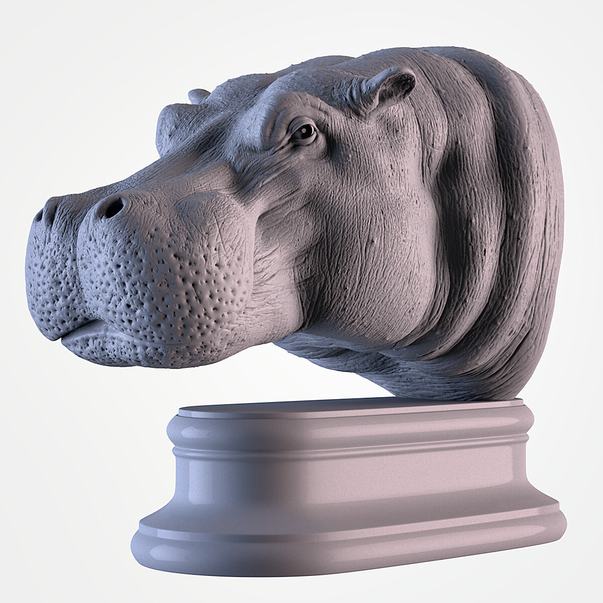 ArtStation - Hippopotamus Head | Resources