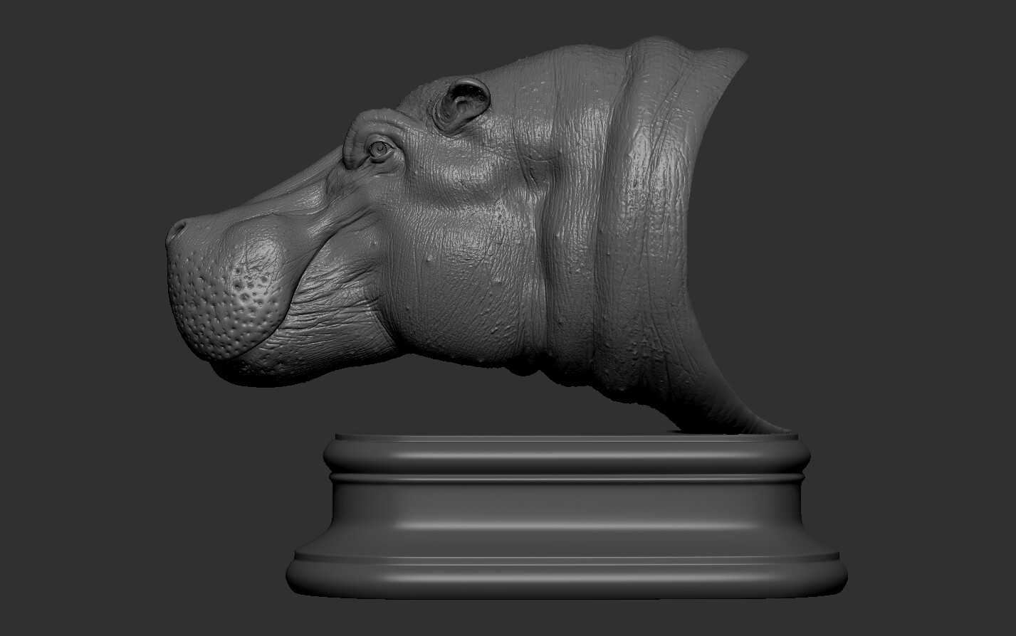 ArtStation - Hippopotamus Head | Resources
