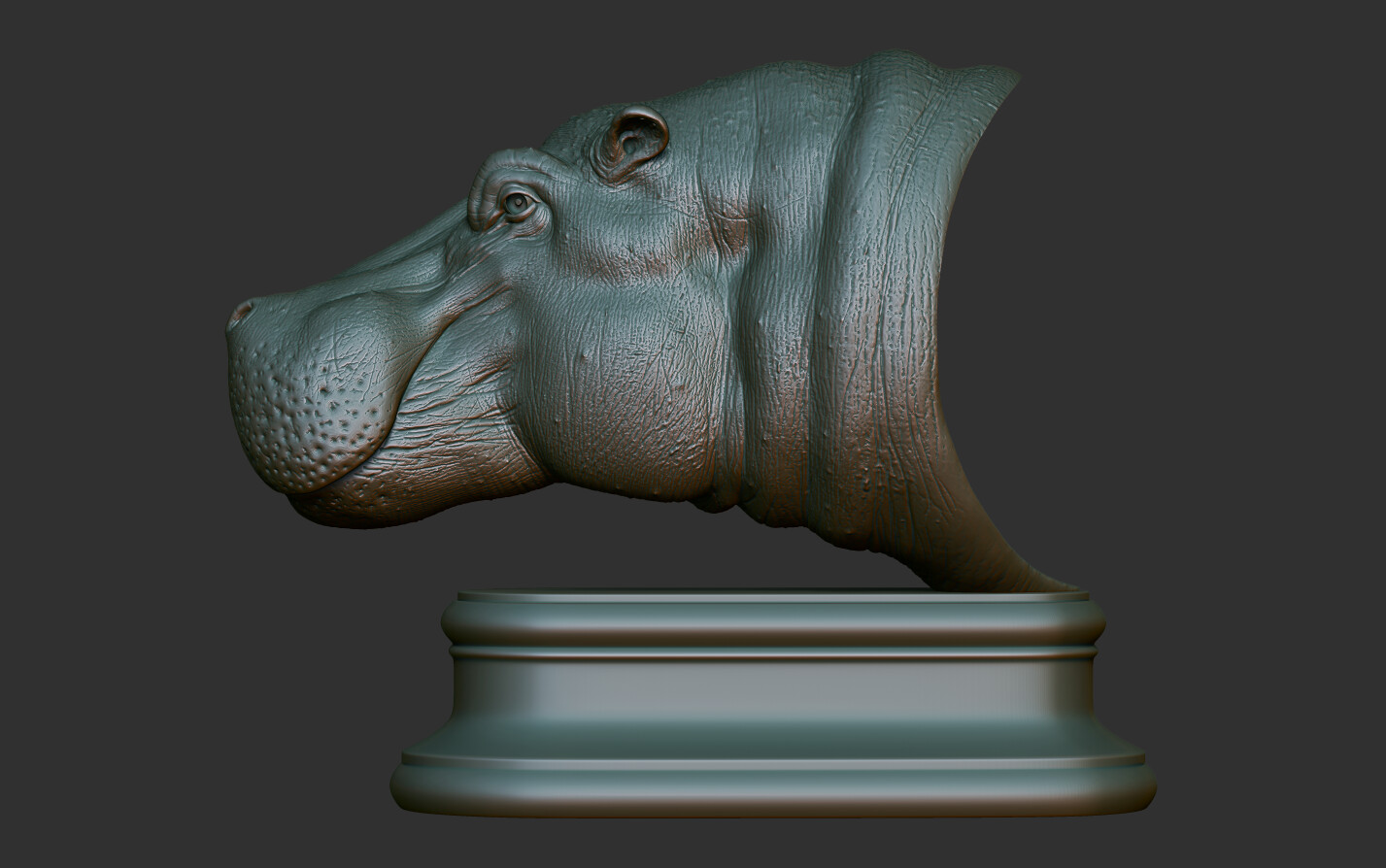 ArtStation - Hippopotamus Head | Resources