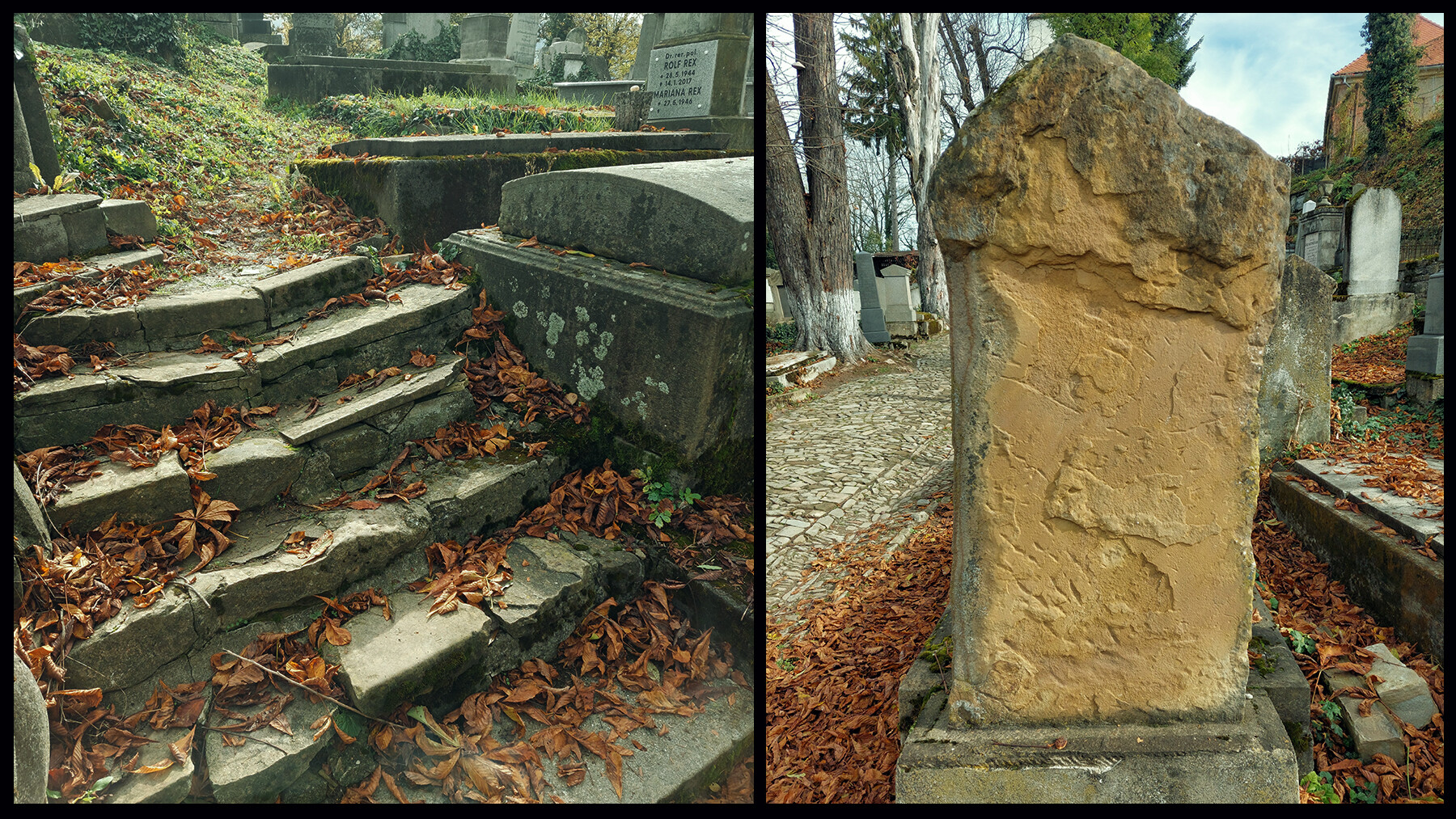 ArtStation - 250+ Graveyard / Cemetery References | Resources