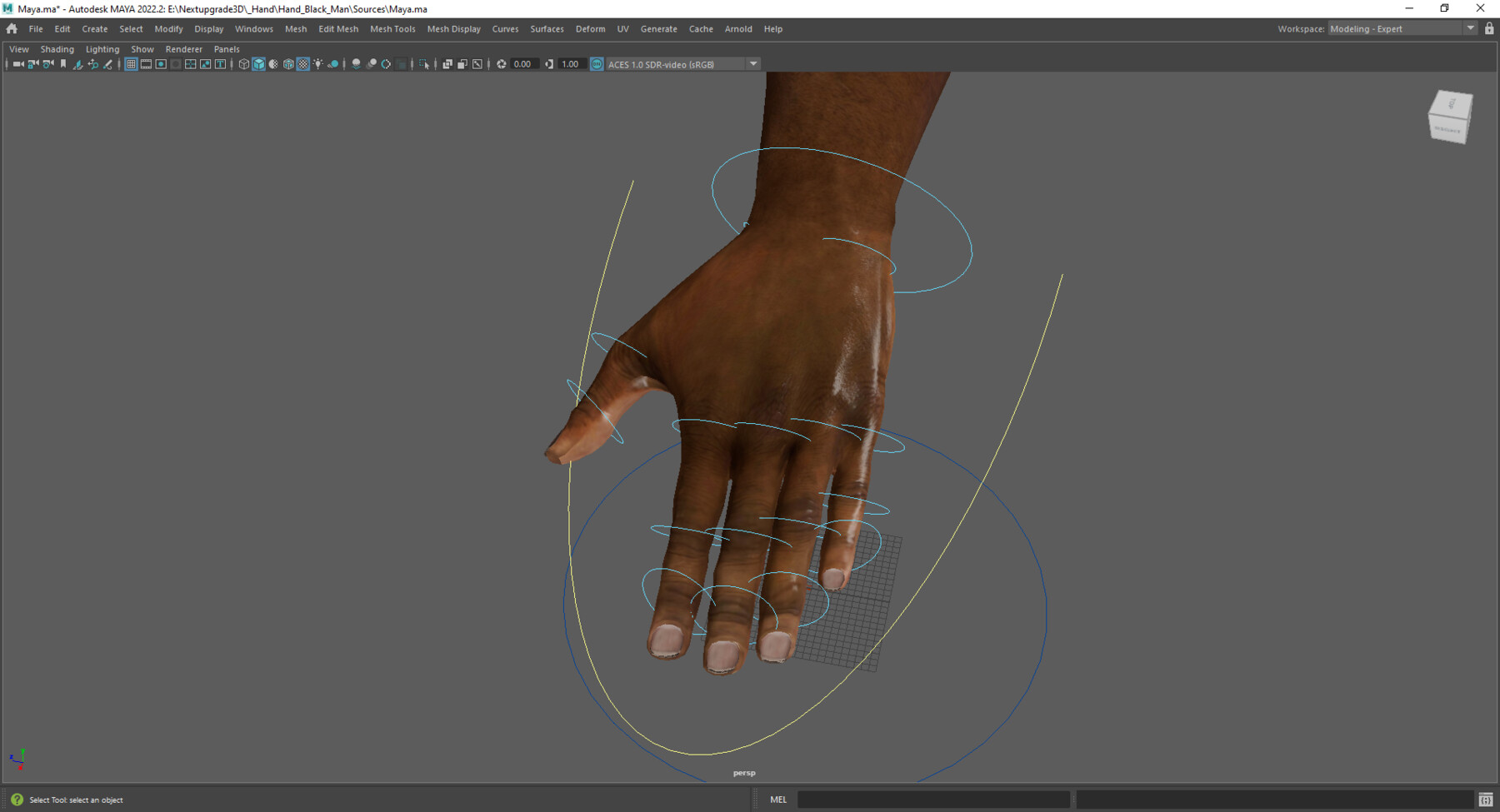 ArtStation - Black Realistic Hands left and right hand with 5 LODs Low ...