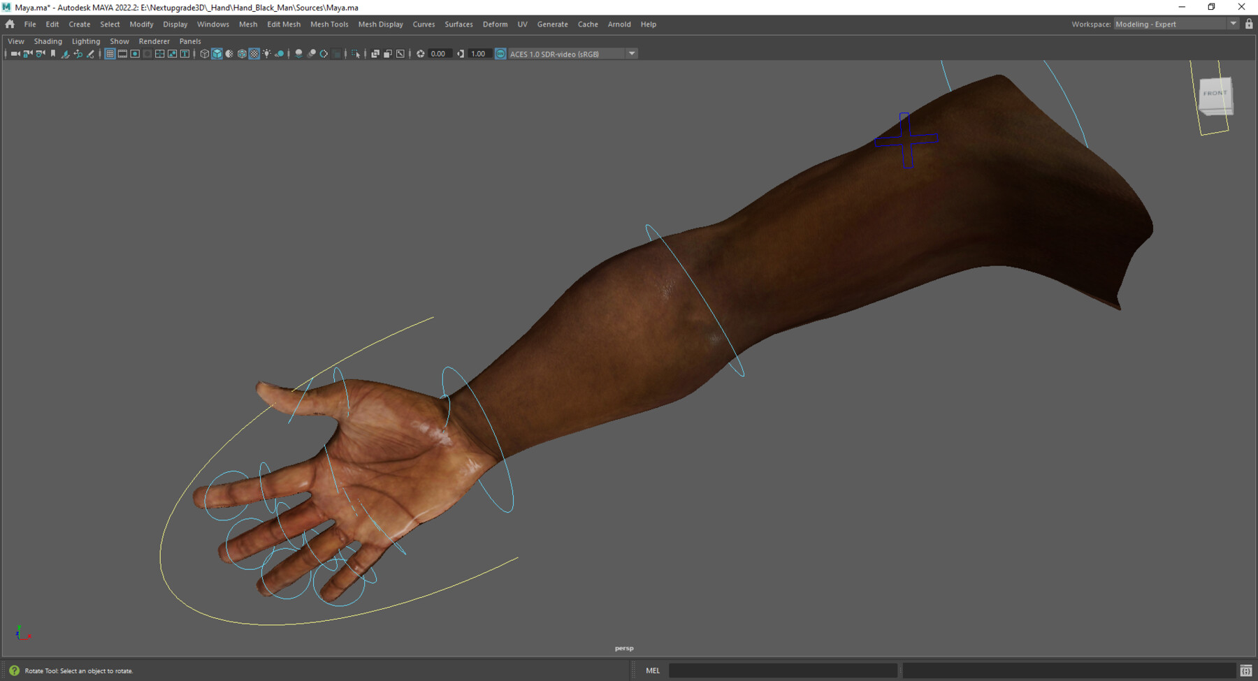 ArtStation - Black Realistic Hands left and right hand with 5 LODs Low ...
