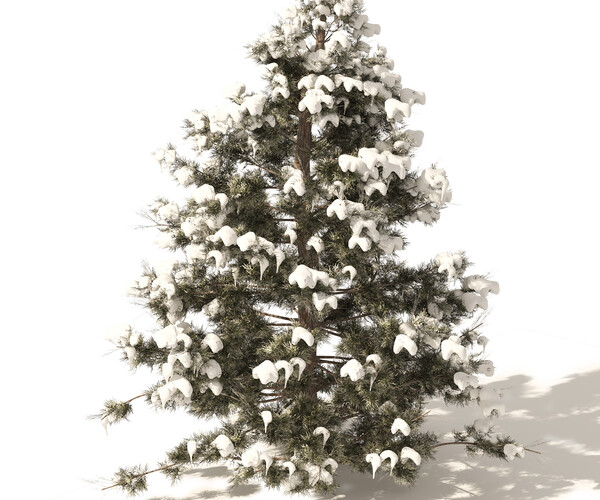 ArtStation - Winter eastern cedar | Resources