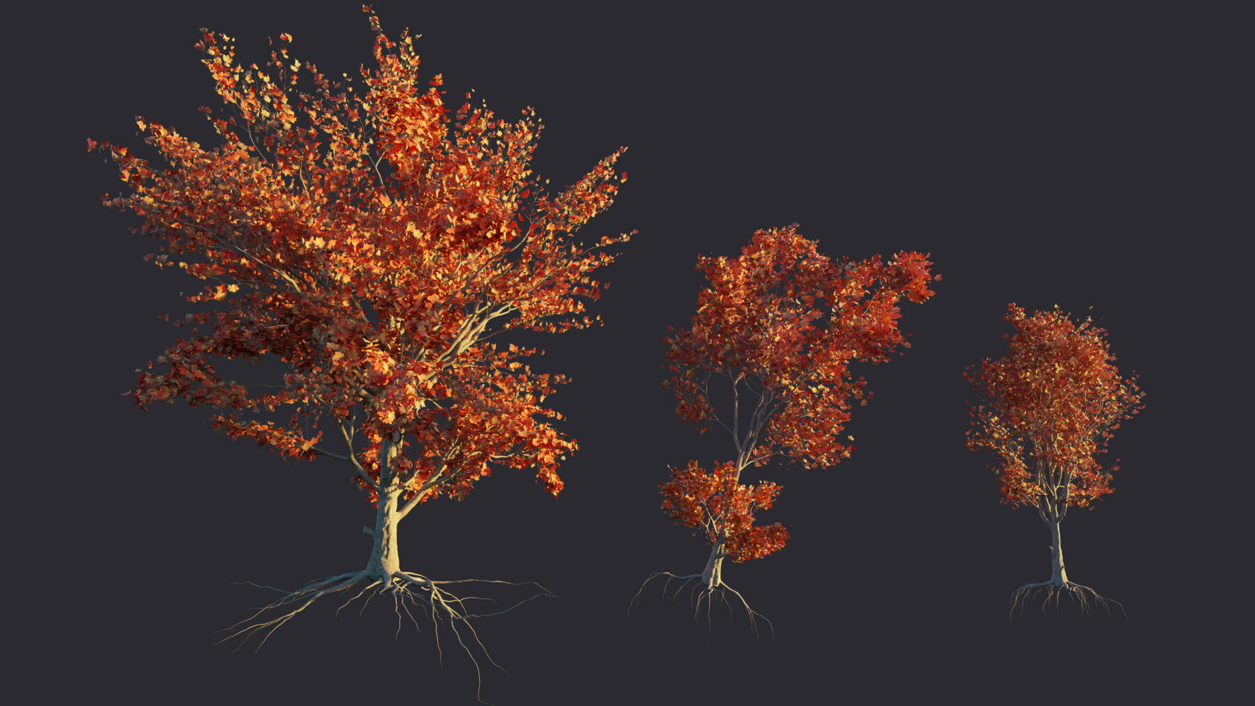 ArtStation - Freeman maple tree pack | Resources