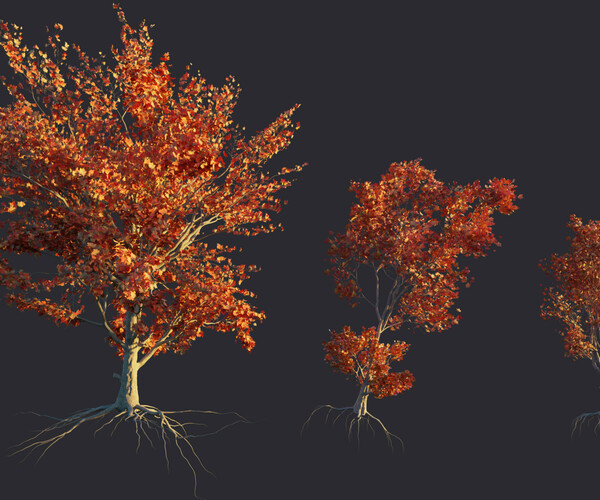 ArtStation - Freeman maple tree pack | Resources