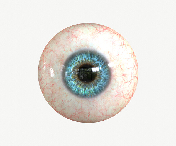 ArtStation - Eye Blue 1 Real-time 3D model 4k texture Marmoset Toolbag3 ...