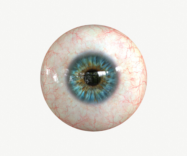 ArtStation - Eye Blue 2 Real-time 3D model 4k texture Marmoset Toolbag3 ...