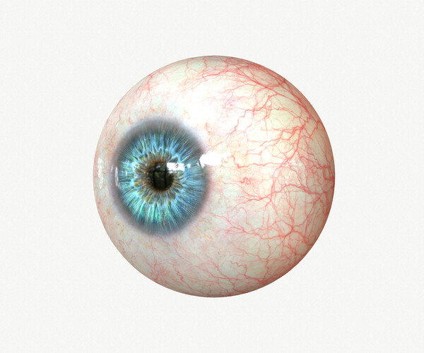 ArtStation - Eye Blue 1 Real-time 3D model 4k texture Marmoset Toolbag3 ...