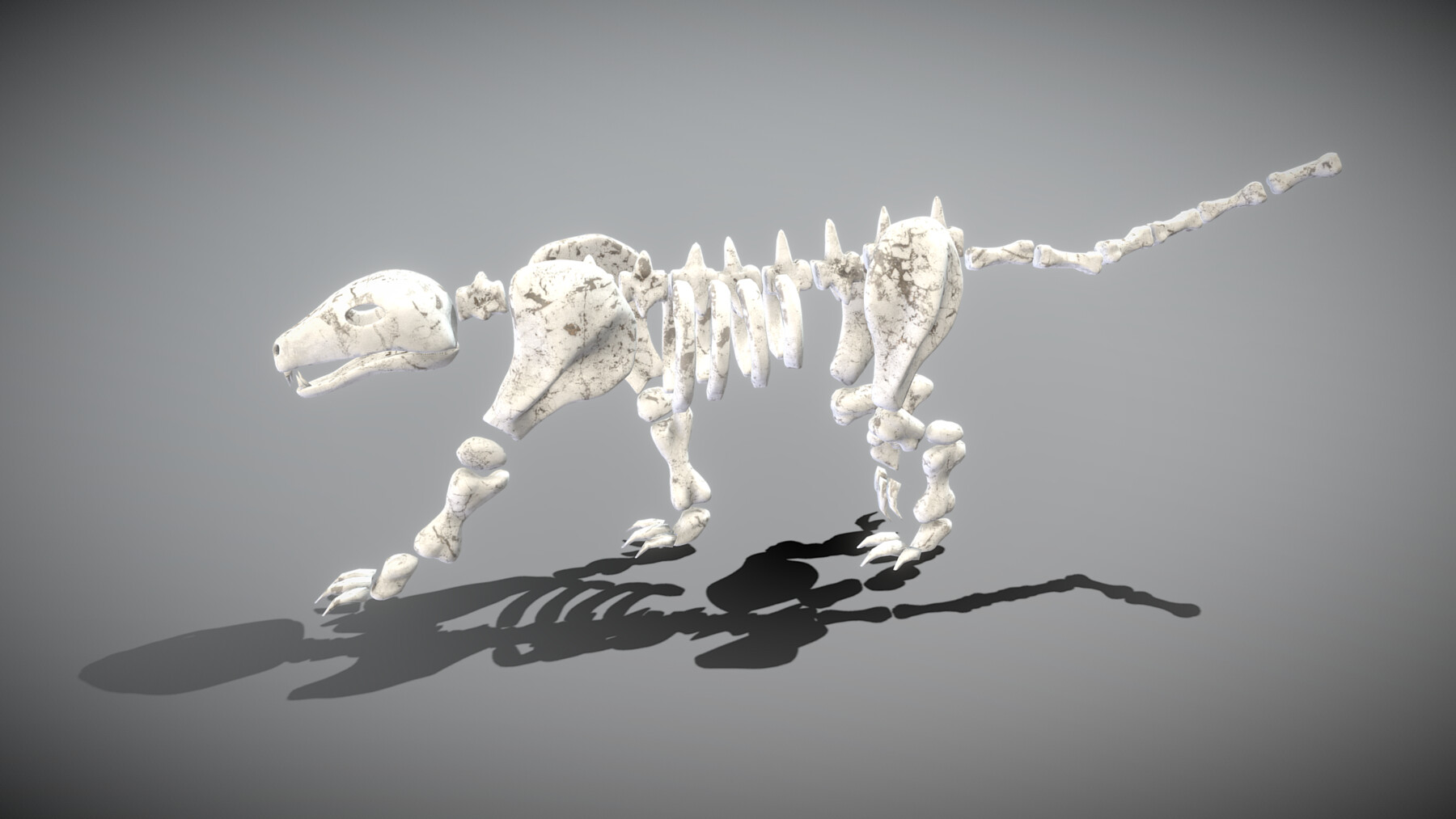 ArtStation - Leopard Skeleton | Game Assets