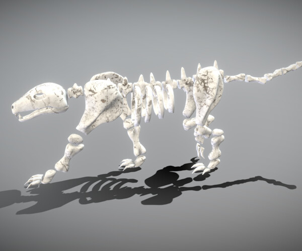 ArtStation - Leopard Skeleton | Game Assets