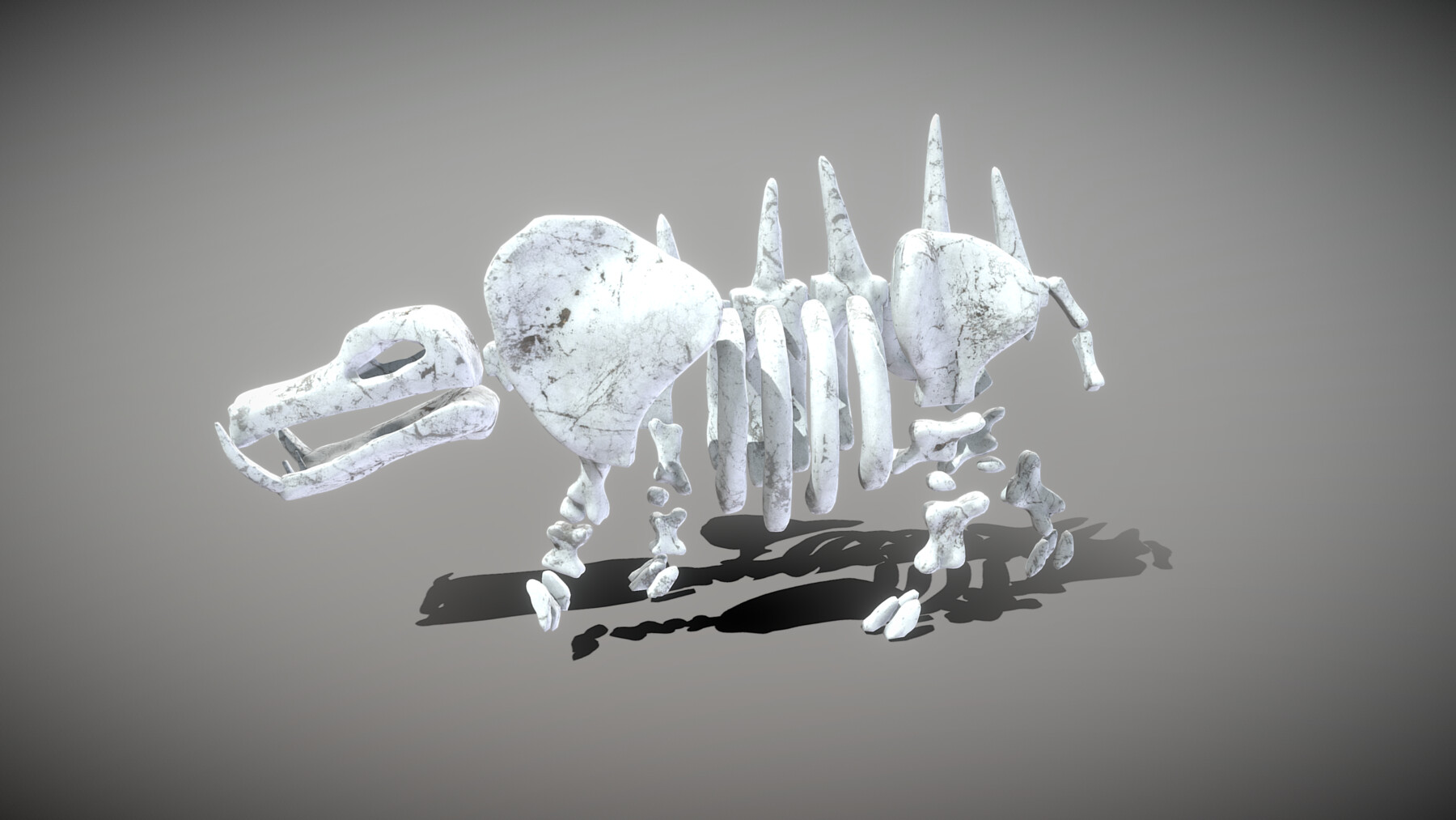 ArtStation - Hippo Skeleton | Game Assets