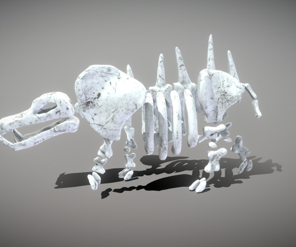 ArtStation - Hippo Skeleton | Game Assets